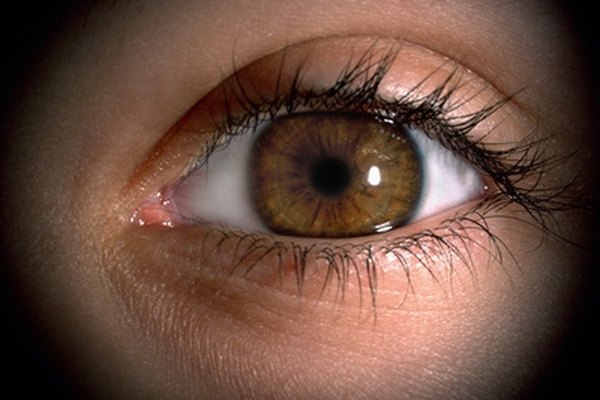 What Is An Eye Gaze It Still Works Giving Old Tech A New Life