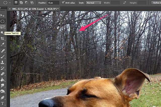 How Do I Draw A Speech Bubble In Photoshop with Pictures EHow