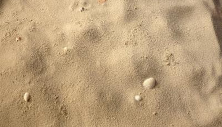 Types of Desert Soil | Sciencing