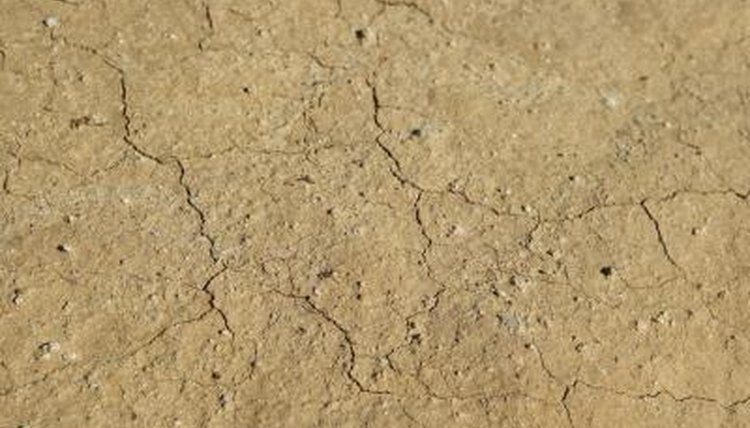 Types of Desert Soil | Sciencing