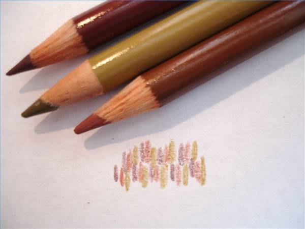 How To Use Prismacolor Pencils with Pictures EHow how-to-use-prismacolor-pencils-with-pictures-ehow
