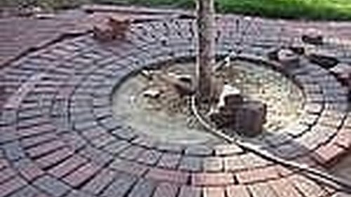 How To Create A Perfect Circle Around A Tree Home Guides SF Gate