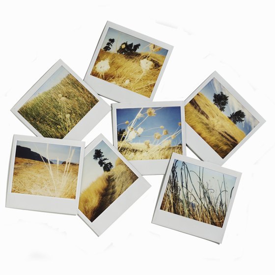 How To Resize All Photos In A Folder Your Business