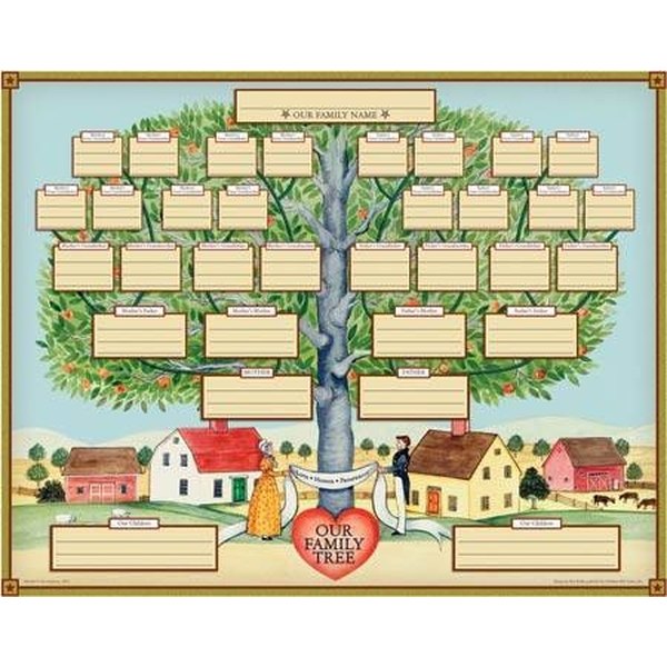 How To Draw A Family Tree When There Is A Divorce Our Everyday Life