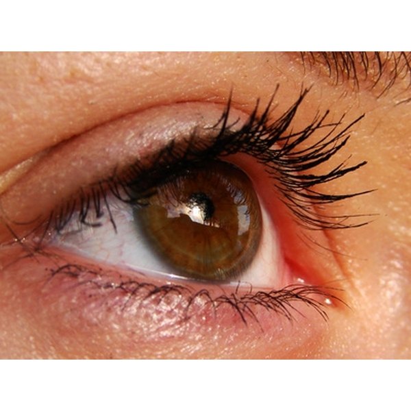 How To Test The Visual Memory Synonym How To Test The Visual Memory Synonym