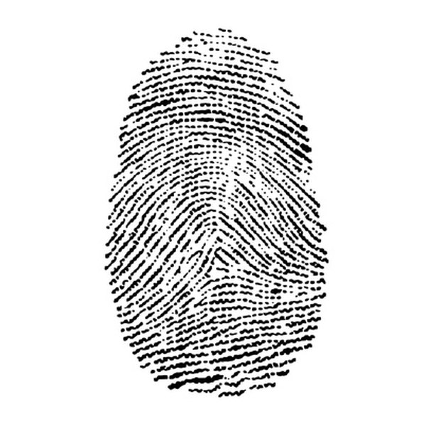 Forensics Activities For Elementary Students Synonym forensics-activities-for-elementary-students-synonym