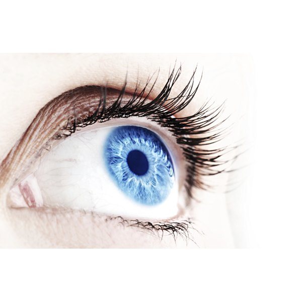 Visual Tracking Scanning Activities Synonym