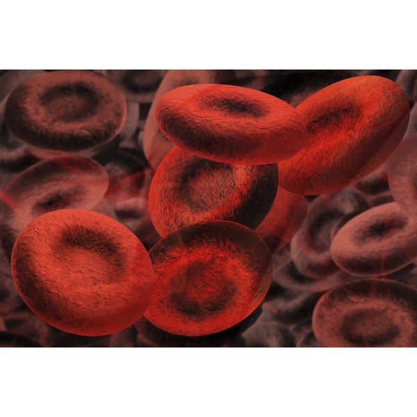 Thalassemia In Athletes Healthfully