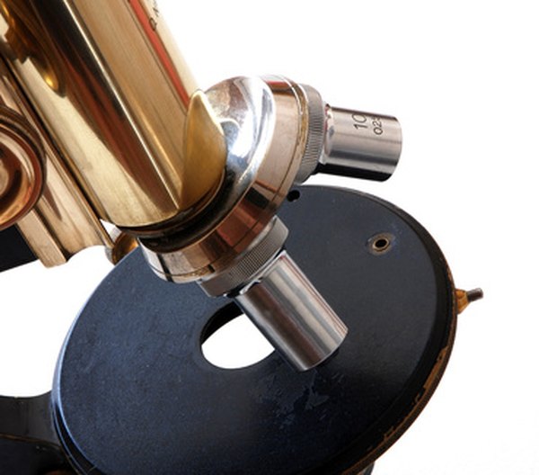 How To Calculate Magnification On A Light Microscope Sciencing
