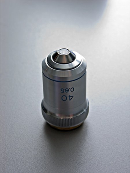 How To Calculate Magnification On A Light Microscope Sciencing