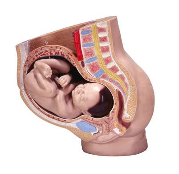 Labor Delivery Nurse School Requirements Woman