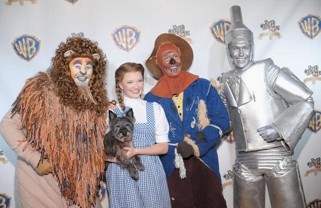 Homemade Wizard Of Oz Costumes For Kids EHow
