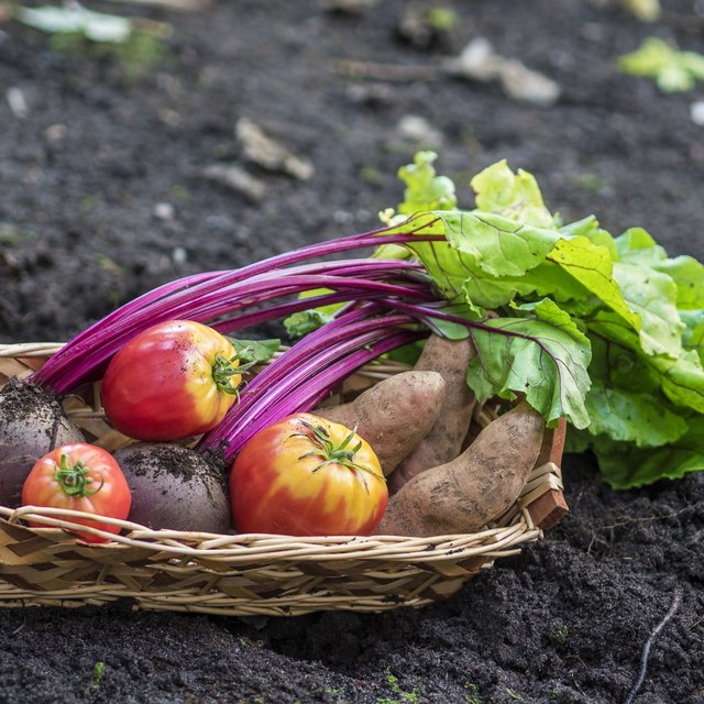 The Colon Cleanse Fruit And Vegetable Diet Our Everyday Life