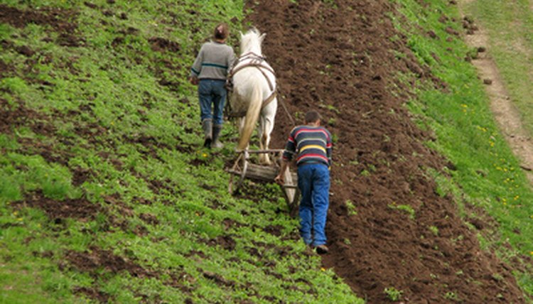 a-list-of-simple-machines-used-in-agriculture-career-trend