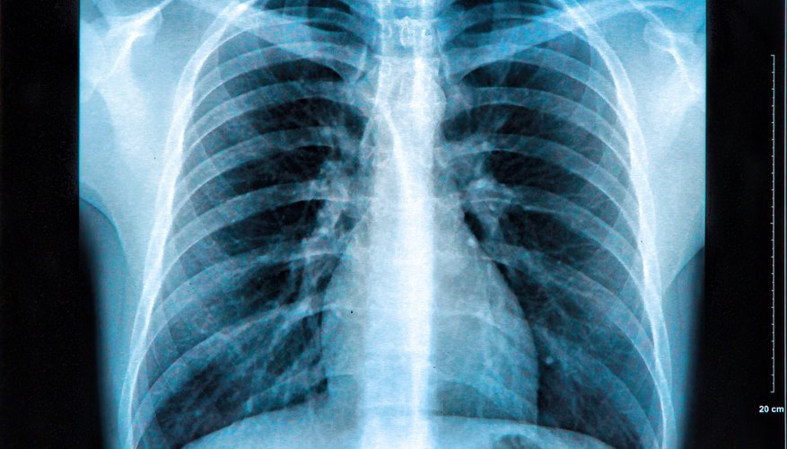 How Does The Skeletal System Work With The Respiratory System Sciencing