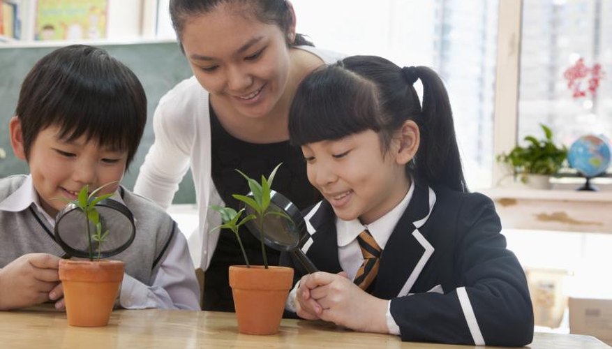 How Do Explicit & Implicit Curriculum Differ? | The Classroom How Do Explicit & Implicit Curriculum Differ? | The Classroom