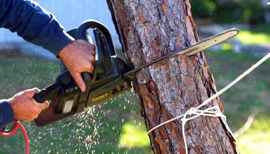 How To Estimate Tree Removal Jobs Bizfluent
