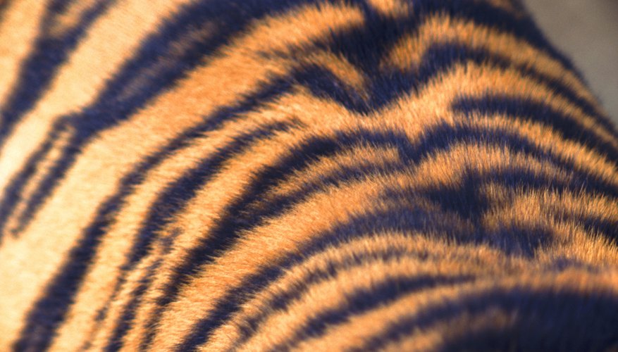 What Are The Types Of Texture Art Our Pastimes