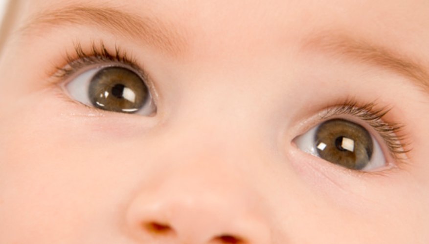 How To Calculate The Probability Of A Baby s Eye Color How To Adult