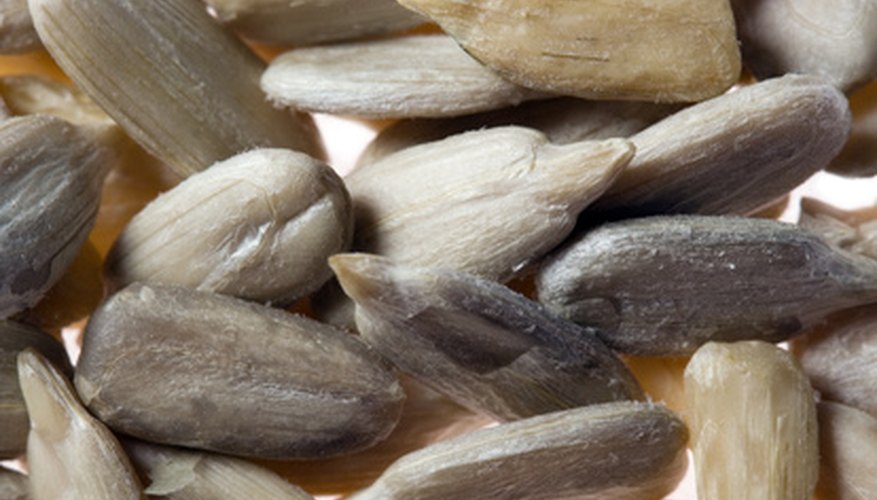 The Parts Of A Seed For Elementary Children Sciencing
