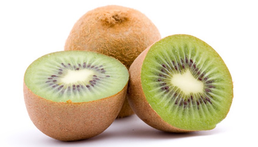Kiwi Fruit Facts For Kids How To Adult