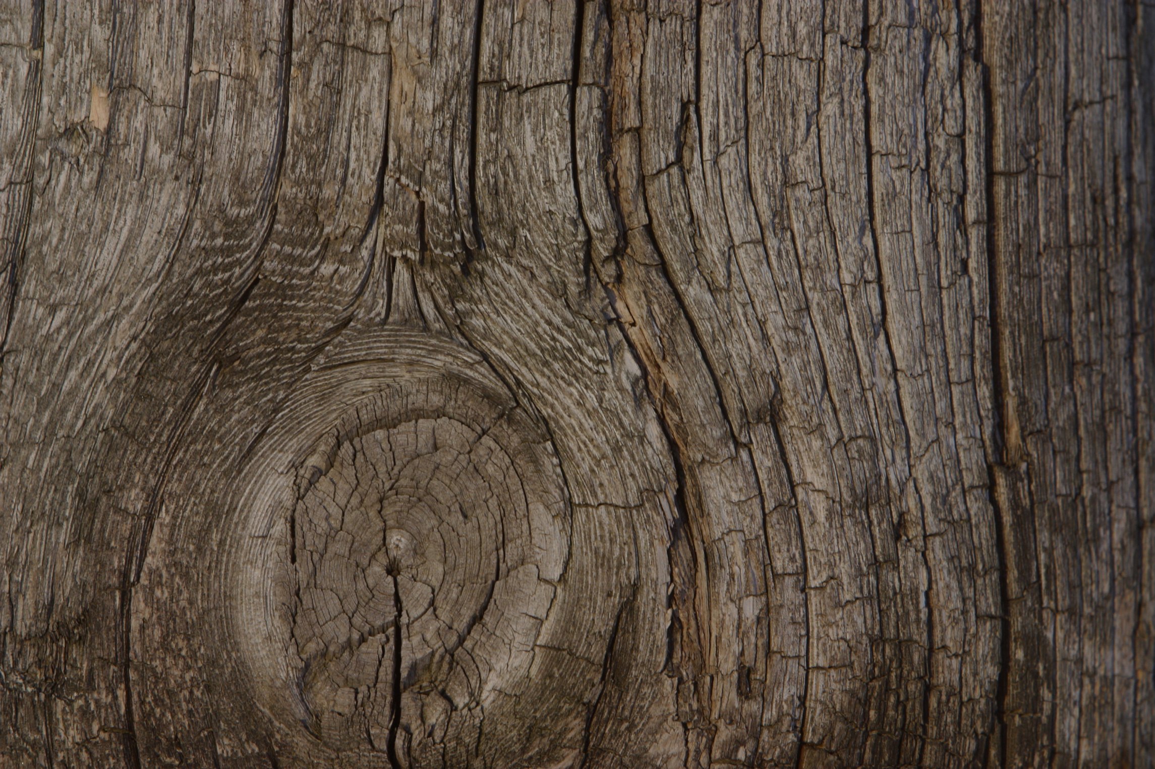 How To Gain A Wood Grain Look From Canvas EHow How To Gain A Wood Grain Look From Canvas EHow