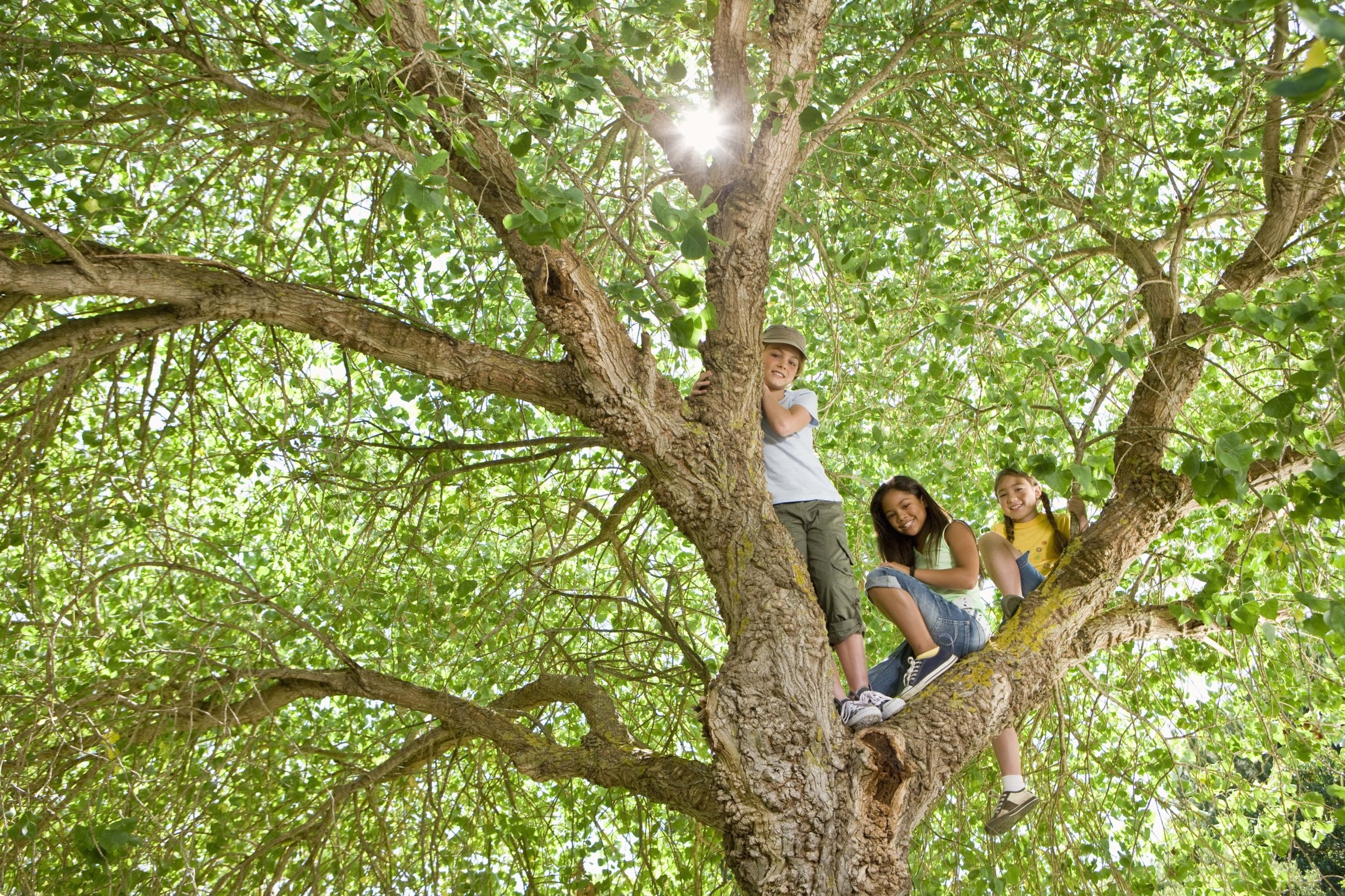 how-to-make-your-own-tree-costume-for-kids-ehow
